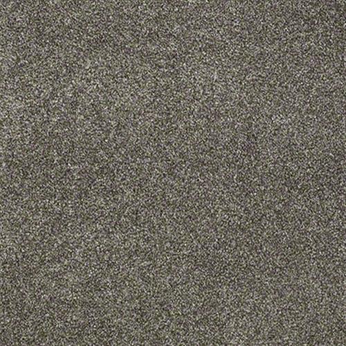 Havencrest in Tinsmith Carpet — Atlanta Flooring Design Centers