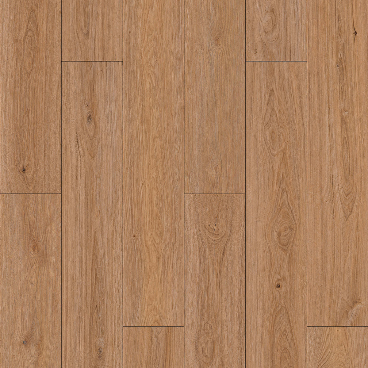 Resurge in Winston Oak Laminate — Atlanta Flooring Design Centers