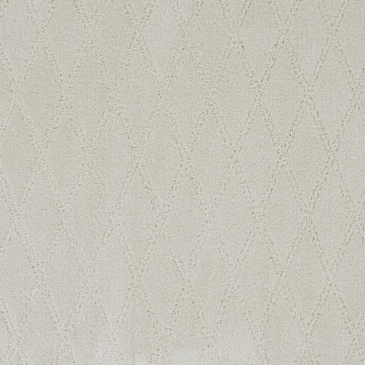 Absolute in Superb Carpet — Atlanta Flooring Design Centers