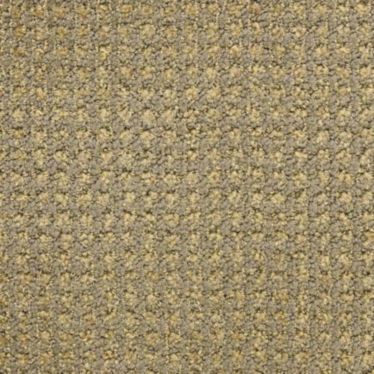 Alpha | Masland Carpets — Atlanta Flooring Design Centers