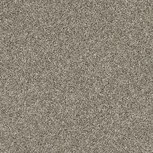 HARVEST TONAL in Barely There Carpet — Atlanta Flooring Design Centers