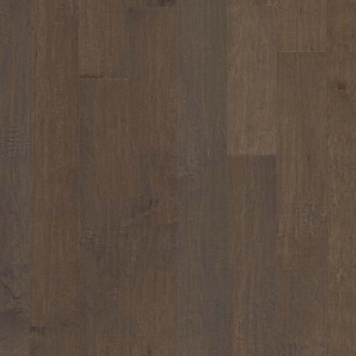 ECLIPSE MAPLE 2 in Timberwolf Hardwood — Atlanta Flooring Design Centers