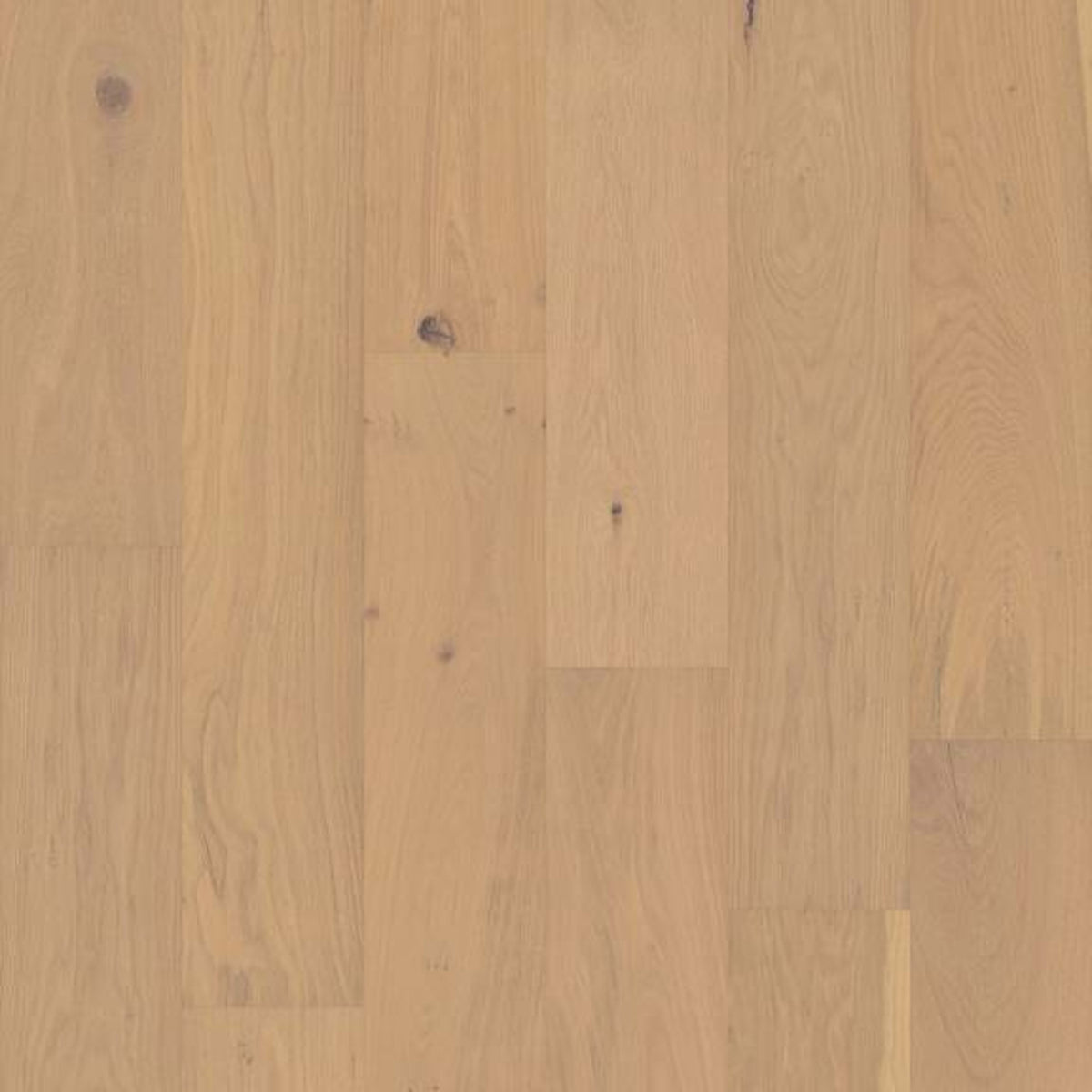 DECKER OAK in Champagne Hardwood — Atlanta Flooring Design Centers