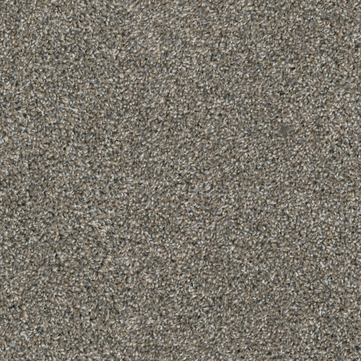 Big Idea in River Rock Carpet — Atlanta Flooring Design Centers