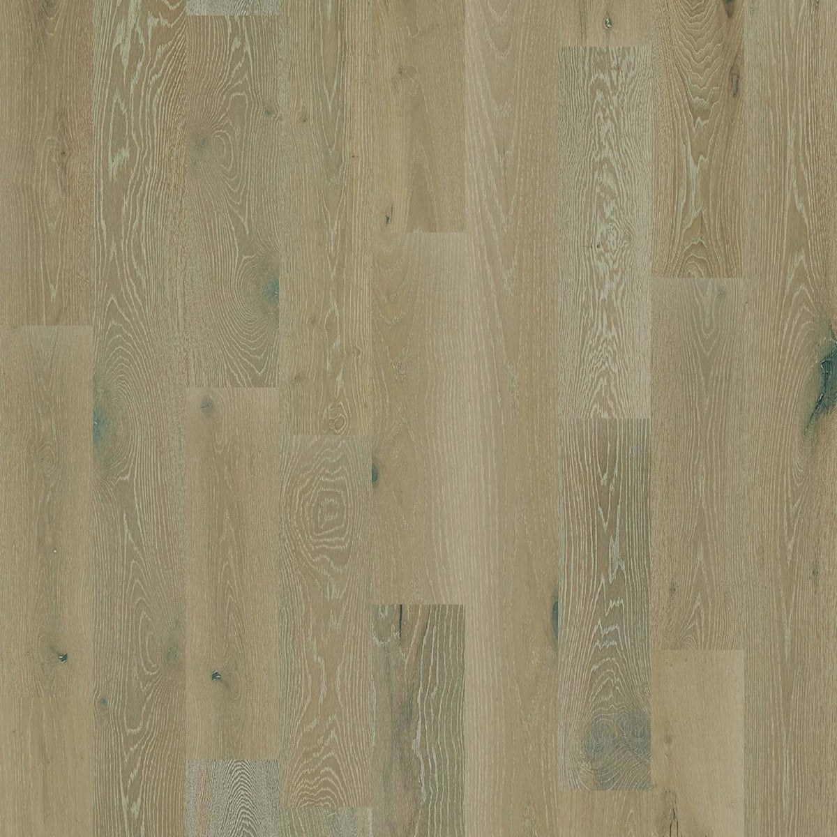 EXQUISITE in Champagne Oak Hardwood — Atlanta Flooring Design Centers