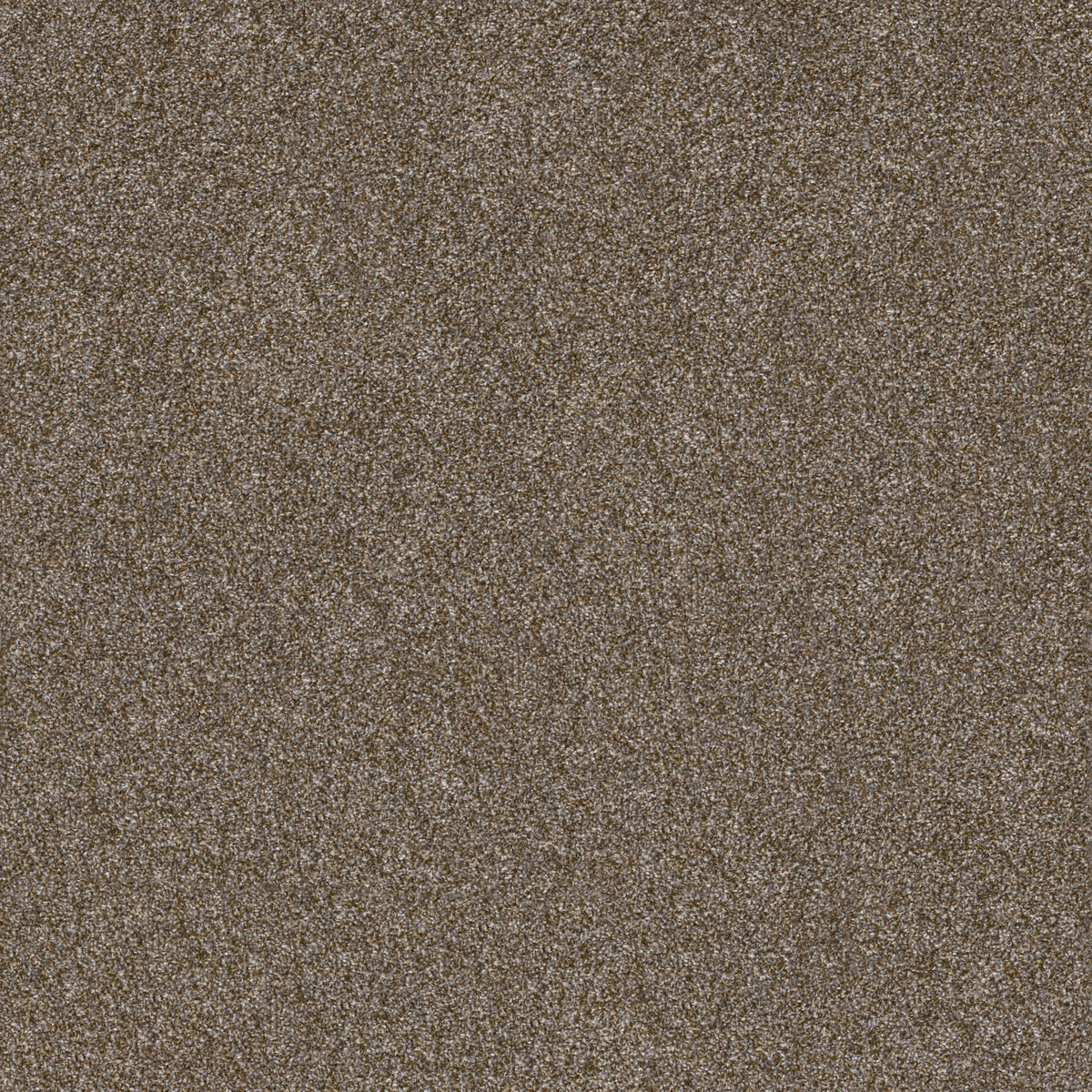 ARRENDALE TWEED | Shaw Industries — Atlanta Flooring Design Centers