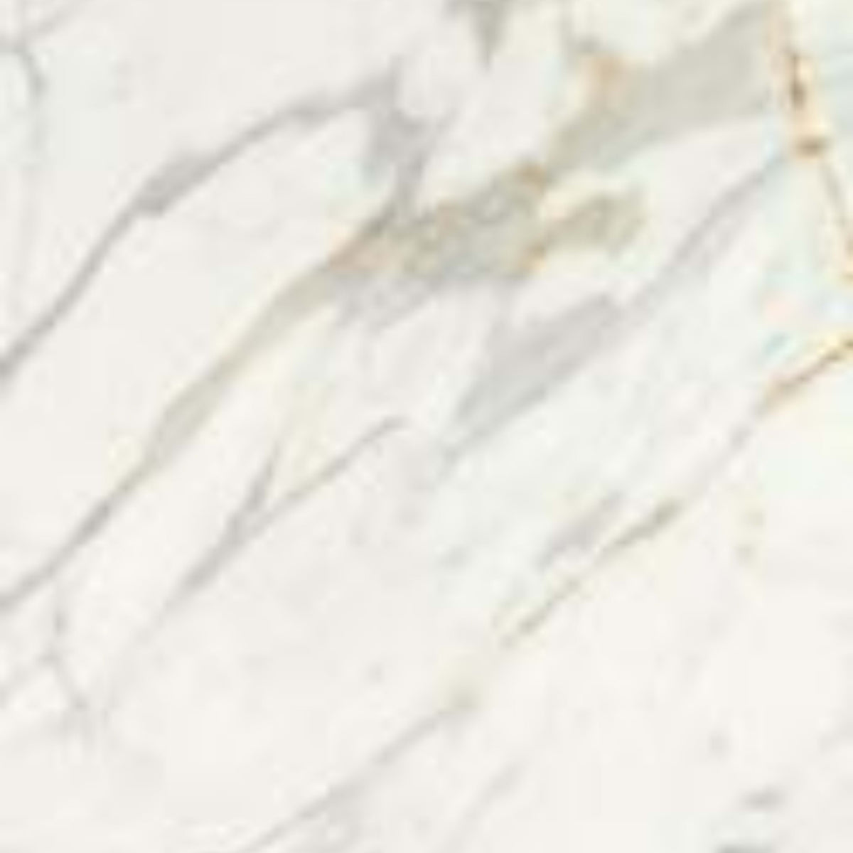 Incanto - 60X120 in Calacatta Michelangelo Glossy Rettificato-60x120 ...