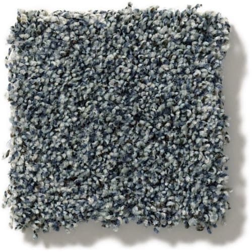 The Bark Side I in Thunder Carpet — Atlanta Flooring Design Centers