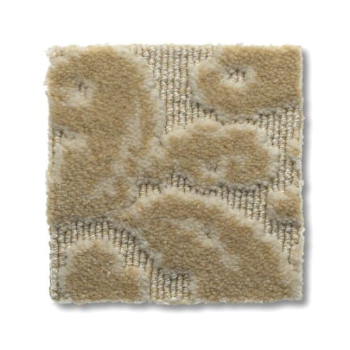 Purrfect Harmony in Sunset Carpet — Atlanta Flooring Design Centers