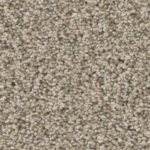 Fabulous in White Mocha Carpet — Atlanta Flooring Design Centers